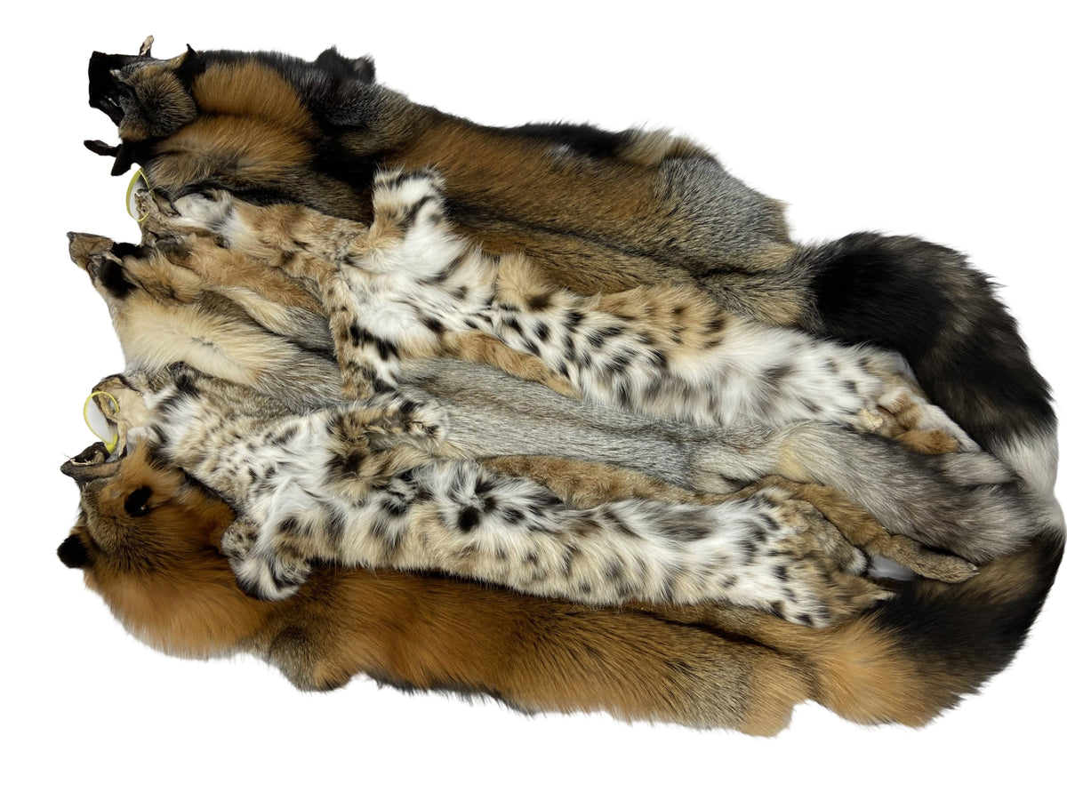 Tanned Fur – Canada Fur Company