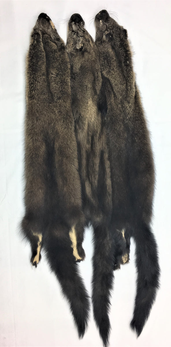 Tanned Fisher Pelts – Canada Fur Company