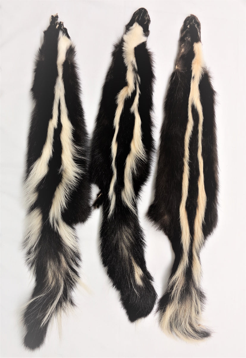 Tanned Skunk Pelts – Canada Fur Company