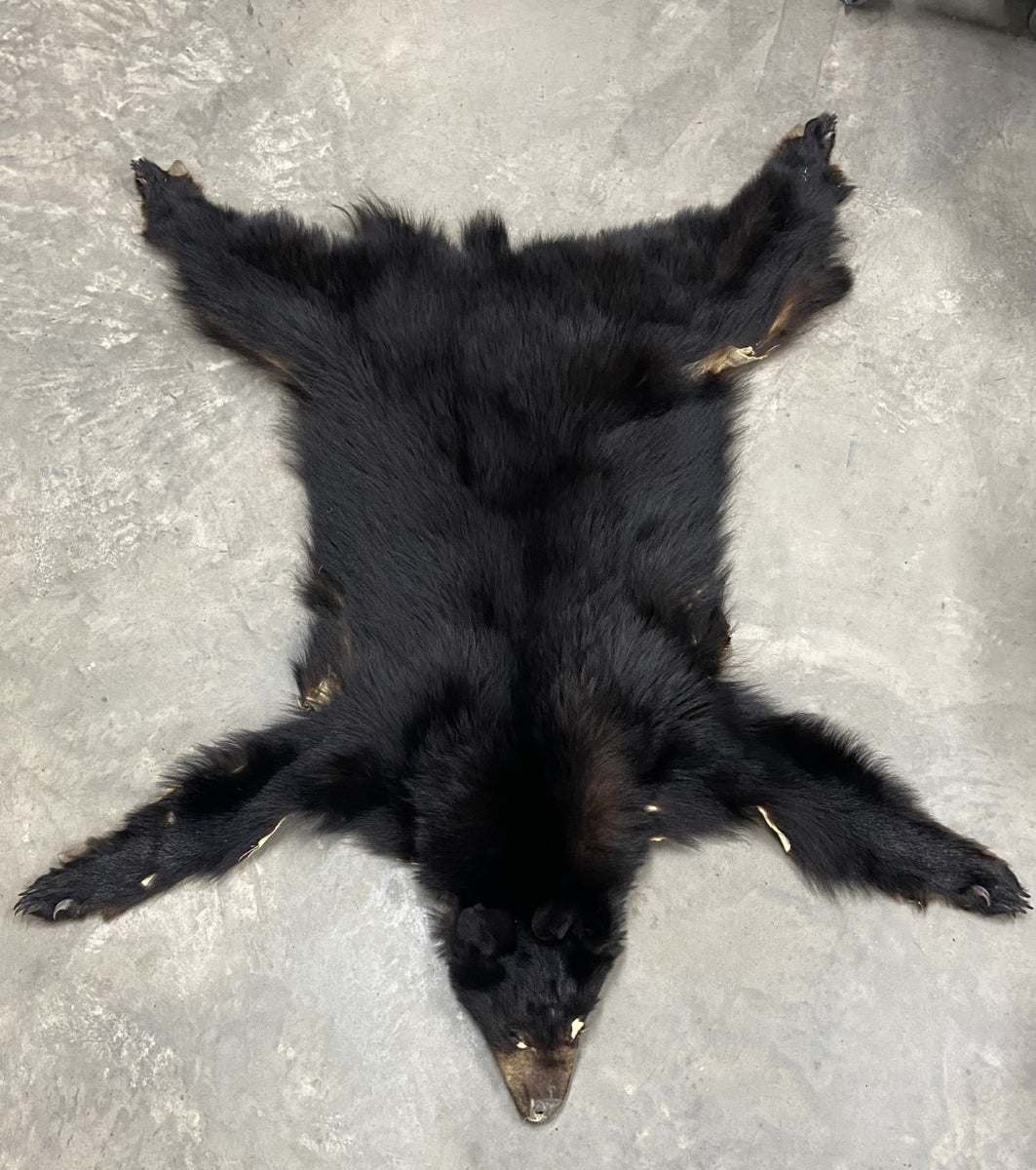 Black Bear - Tanned Pelt – Canada Fur Company