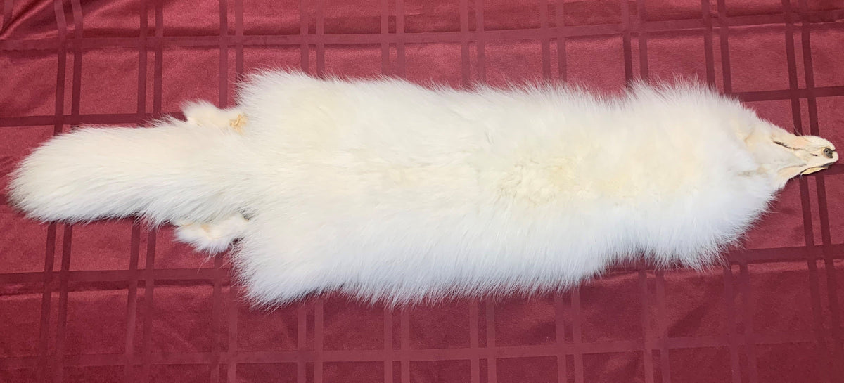 Arctic Fox – Canada Fur Company