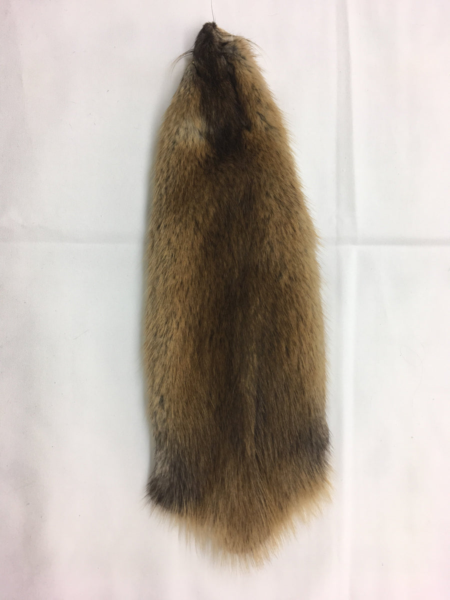 Muskrat Pelt – Canada Fur Company