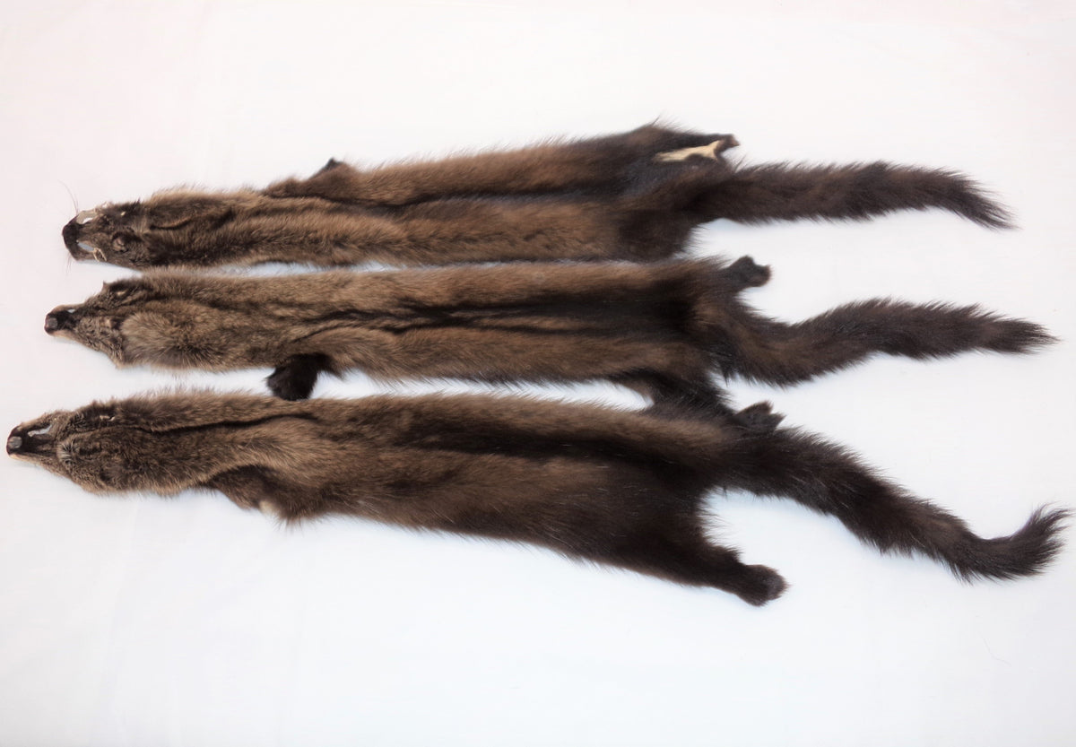 Fisher - Med/Pale Colour – Canada Fur Company